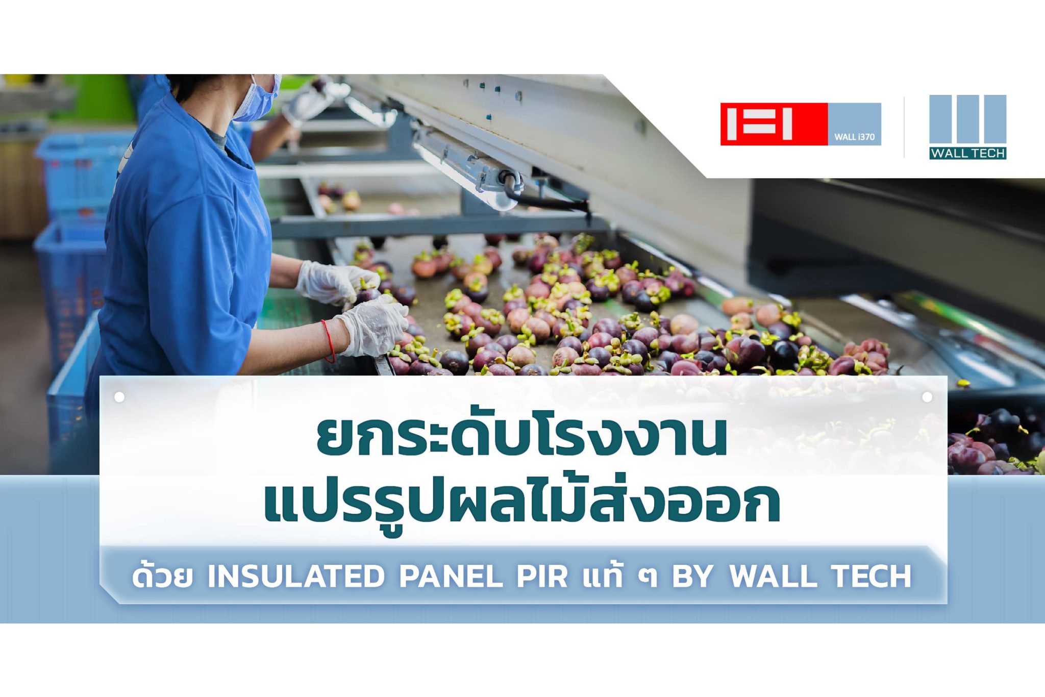 ยกระดับโรงงานแปรรูปผลไม้ด้วย Insulated Panel by Wall Tech